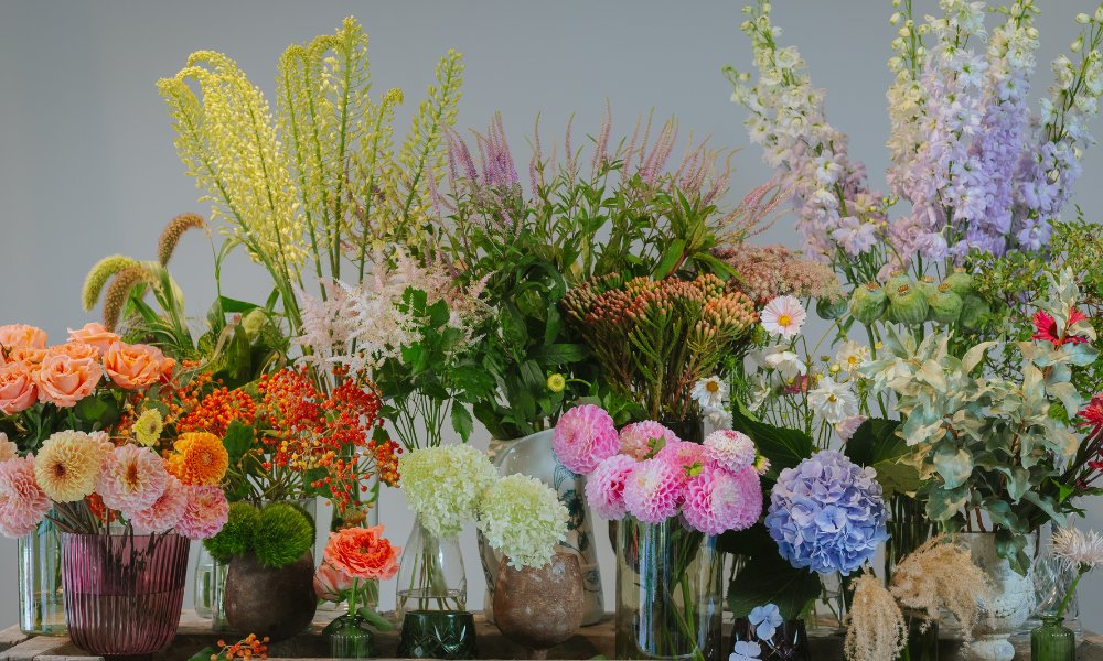 Dizaina Ambulance | Wolt | Delivery | Riga