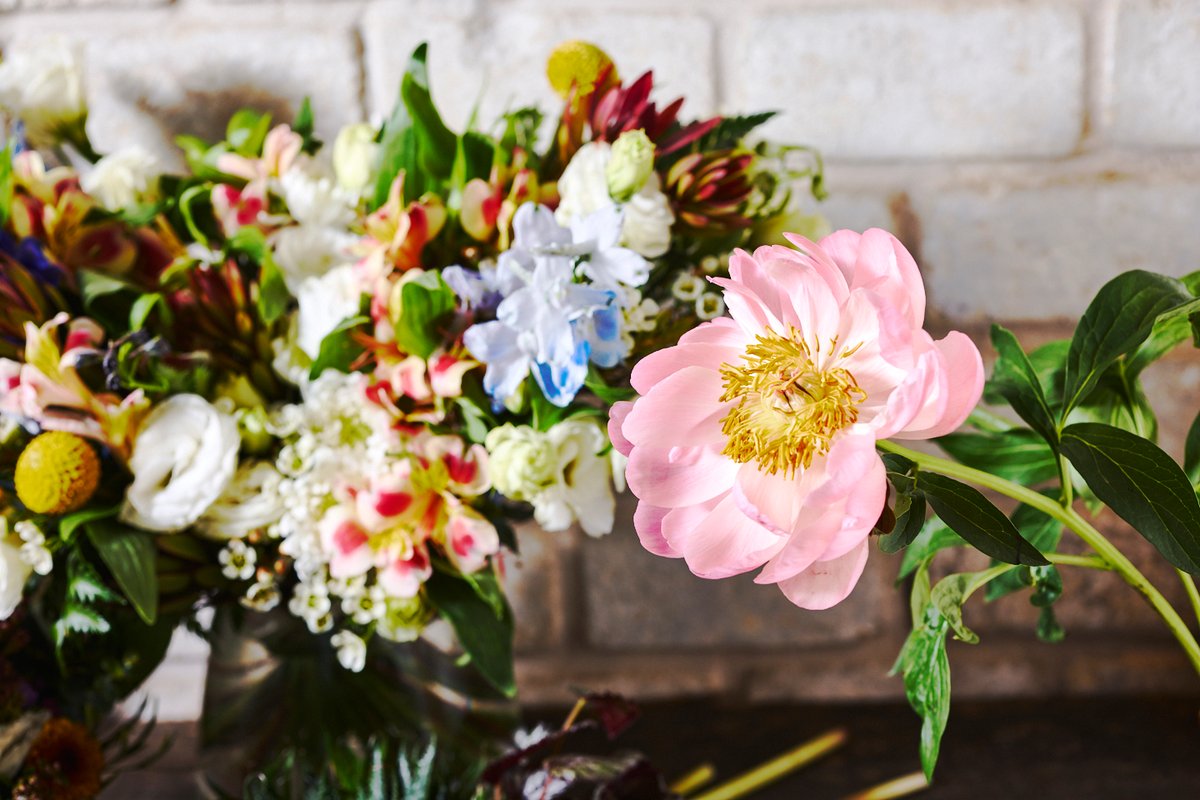 Diflora Flowers | Wolt | Delivery | Tel Aviv