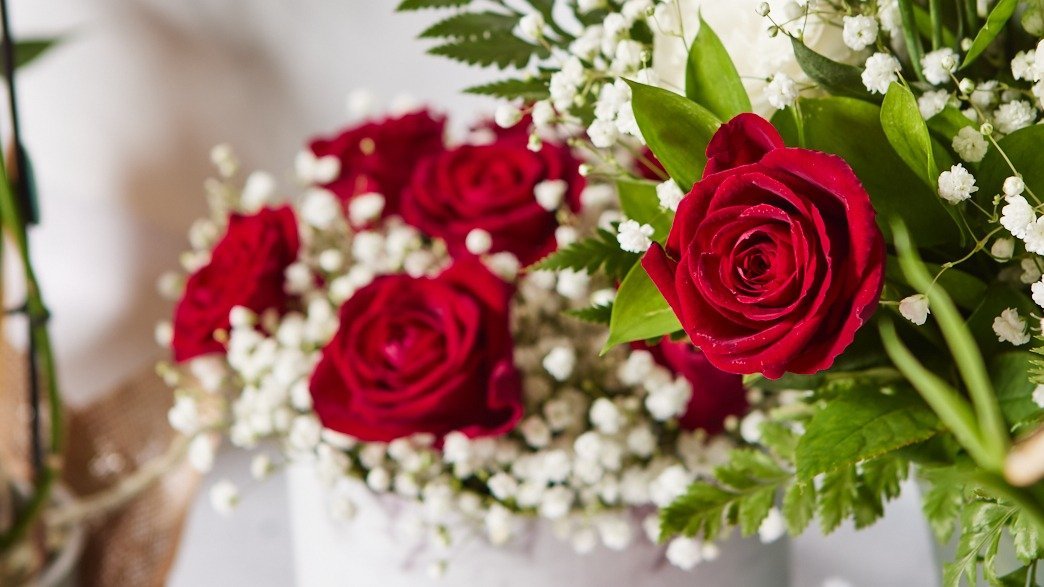 Piley Prahim | Wolt | Delivery | Rishon Lezion & Hashfela area