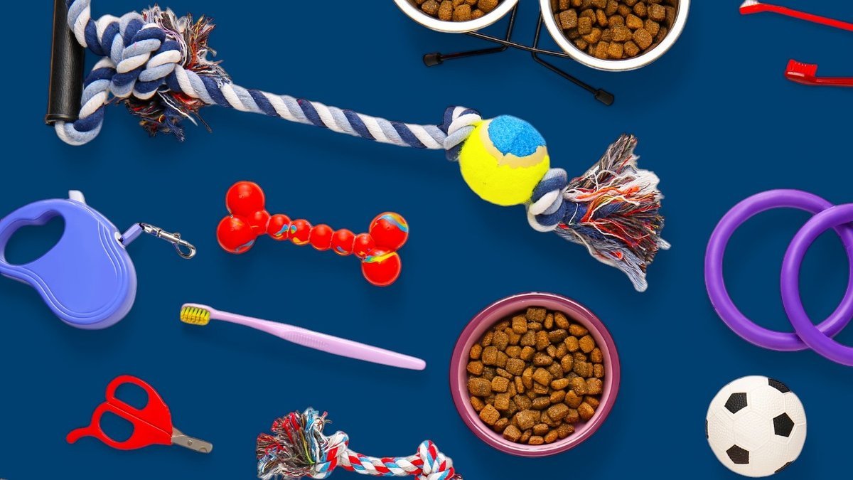 Animal Express | Wolt | Delivery | TLV - Herzliya area