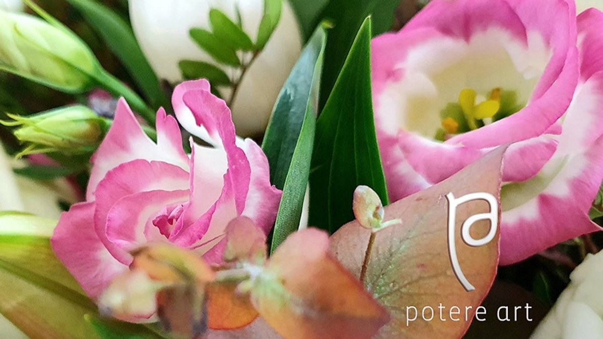 Potere Art - salon cvijeća | Wolt | Dostava | Zagreb