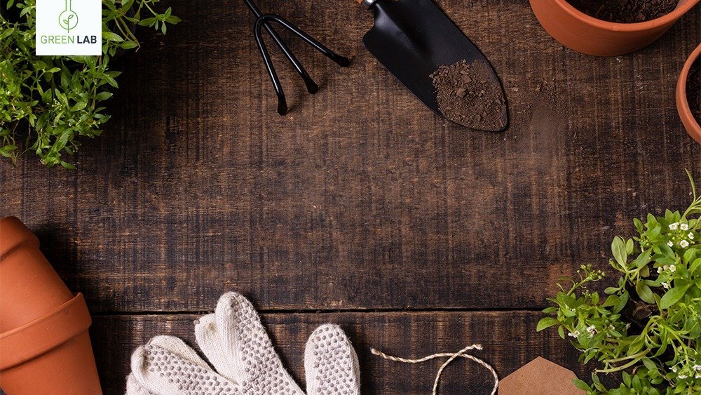 Green Lab Tbilisi | Wolt | Delivery | Tbilisi