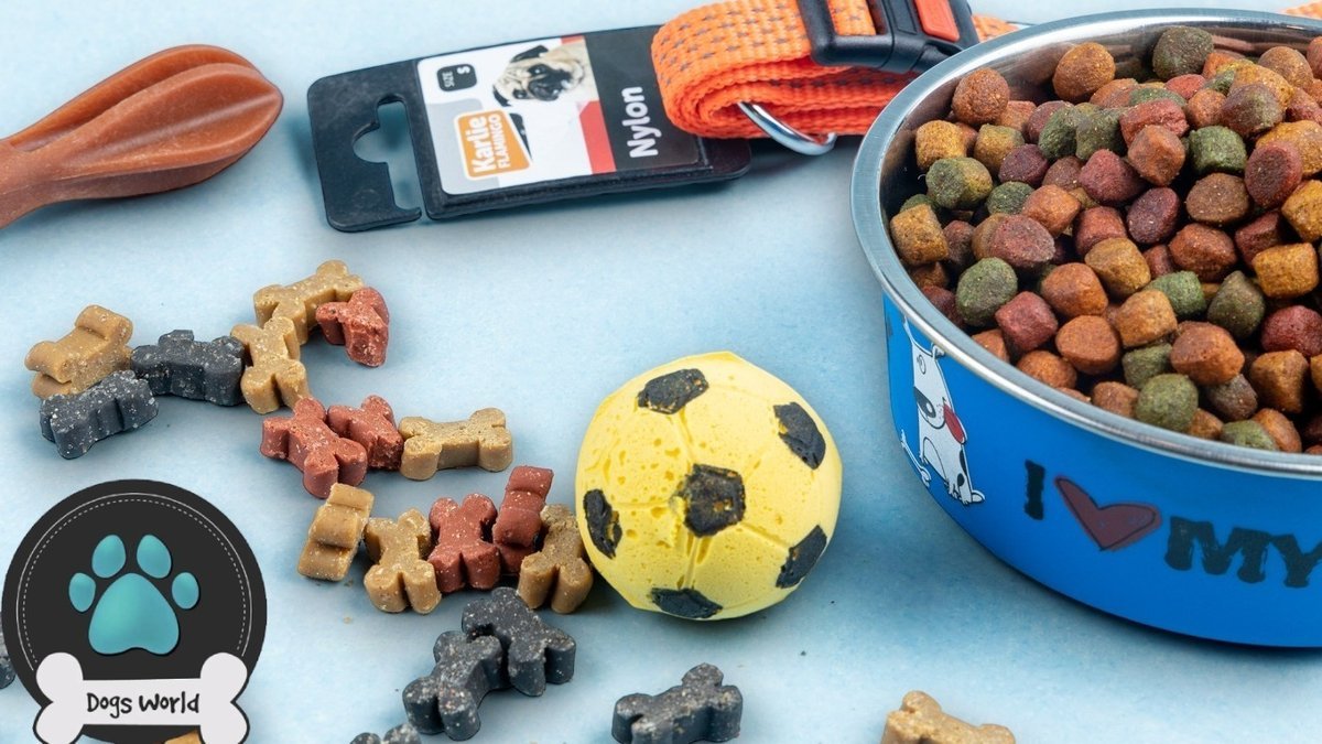 Dogs World Pet Shop | Wolt | Delivery | Nicosia