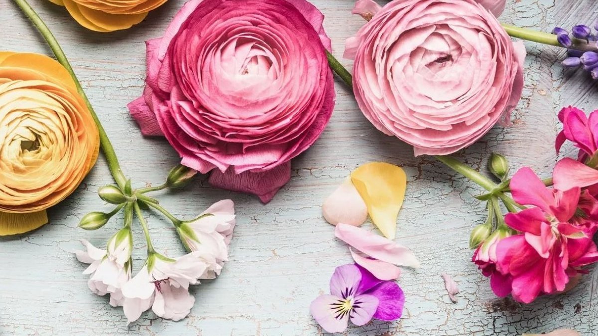 WATER BOUQUETS | Manentzos Flower & Garden Design | Wolt