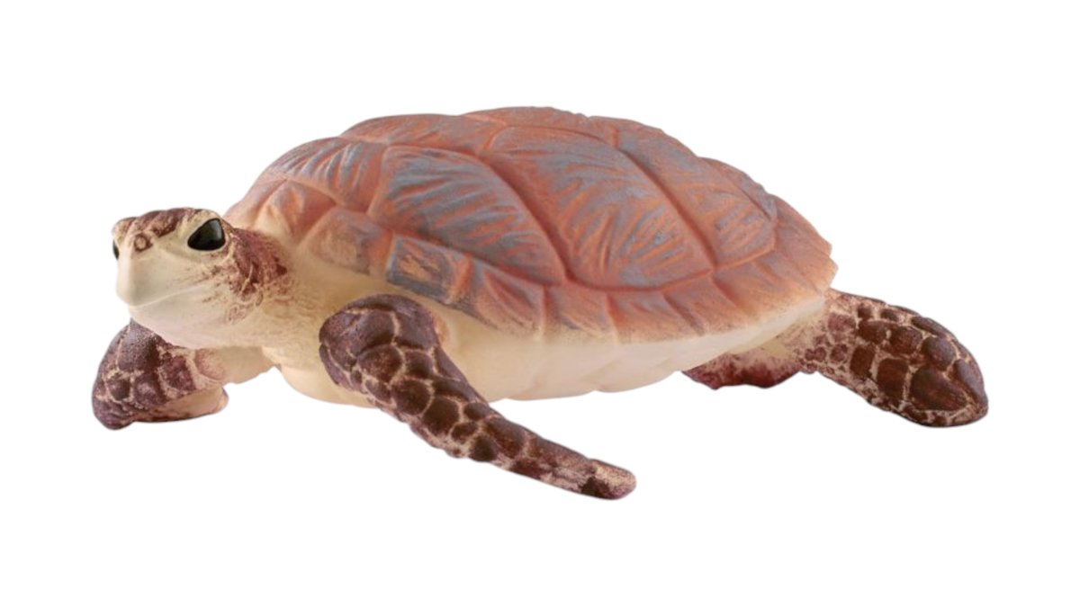 Schleich Hawskbill Sea Turtle | The Model Shop Iklin | Wolt