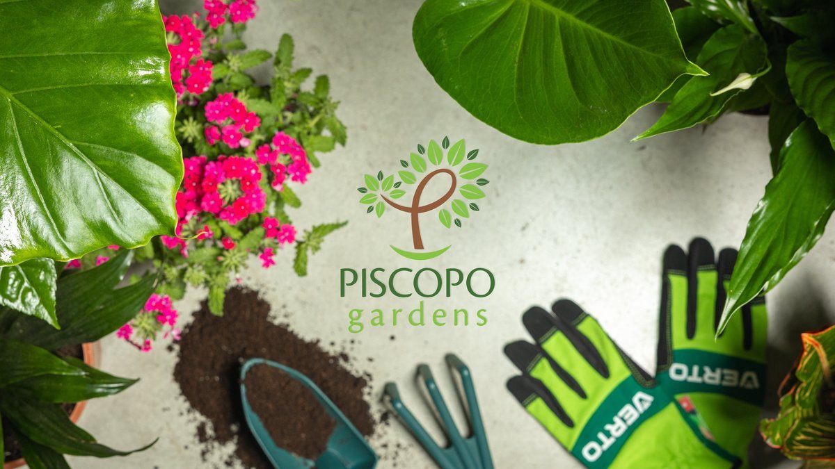 Regular Plants | Piscopo Gardens Burmarrad | Wolt
