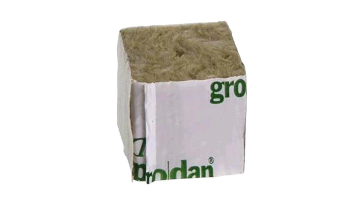Grodan- Rock Wool Cube 4cm X 4cm X 4cm | Piscopo Gardens Burmarrad | Wolt