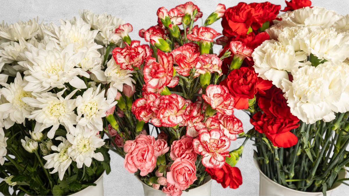 Virág Varázs | Wolt | Házhozszállítás | Miskolc