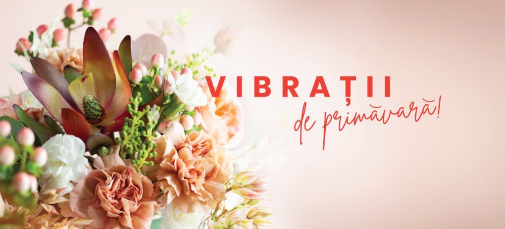 Manufaktura Flowers | Wolt | Livrare | Constanta