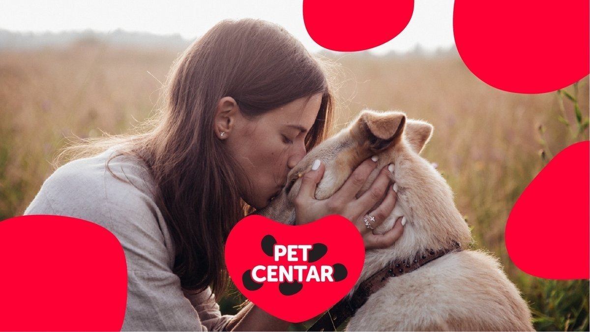 Akvaristika | Pet Centar BIG | Wolt