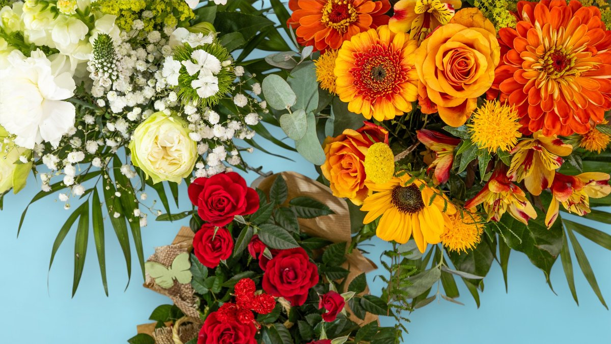 Blumenhaus Mehnert | Wolt | Lieferservice | Dresden