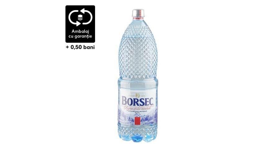 Borsec Apa Min Nat Plata 2L Sgr | Kaufland Drumul Binelui (7710) | Wolt