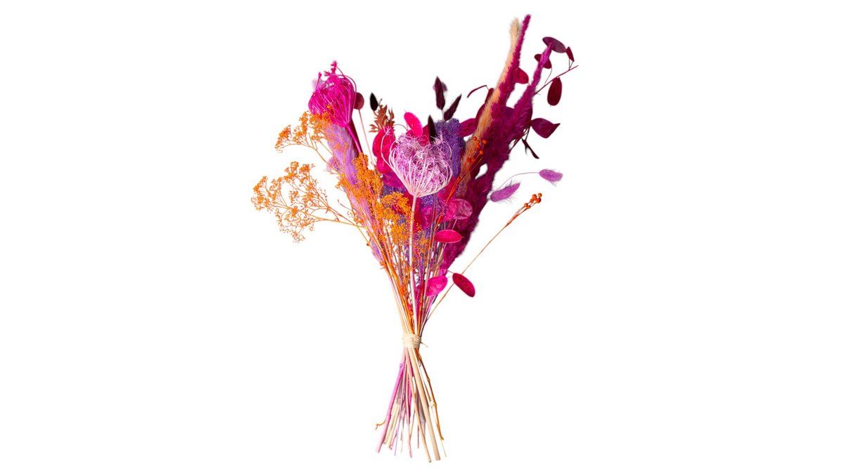 Trockenblumen | Feather & Fern Meisterfloristik - Neusser Str. | Wolt
