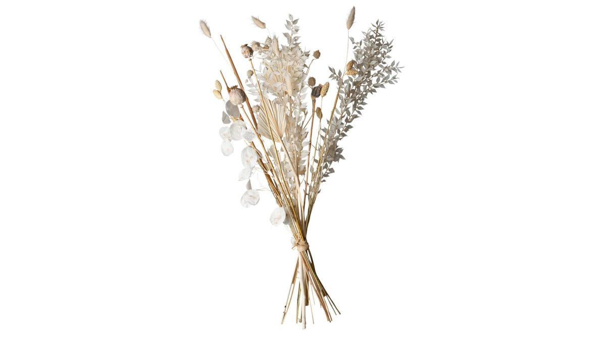 Trockenblumen | Feather & Fern Meisterfloristik - Neusser Str. | Wolt