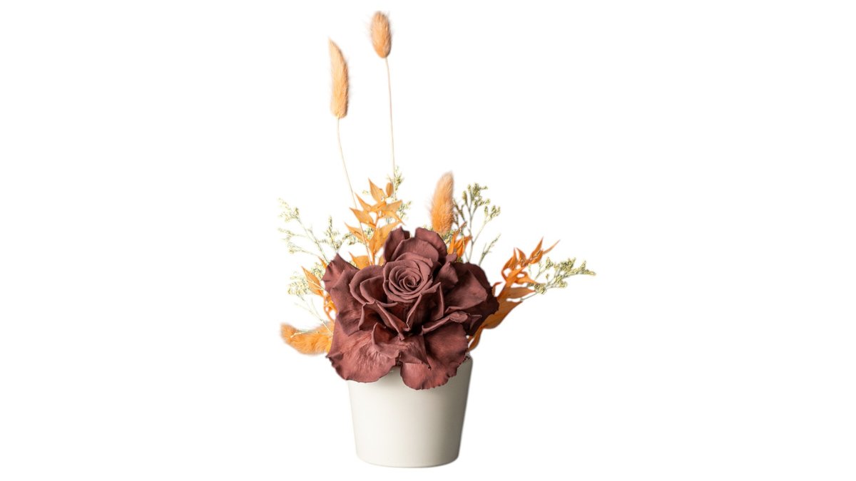 Trockenblumen | Feather & Fern Meisterfloristik - Neusser Str. | Wolt