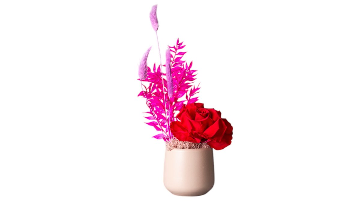 Trockenblumen | Feather & Fern Meisterfloristik - Neusser Str. | Wolt