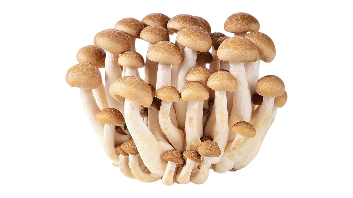 Shimeji Brown 150g | Opa Fruit & Vegetables | Wolt