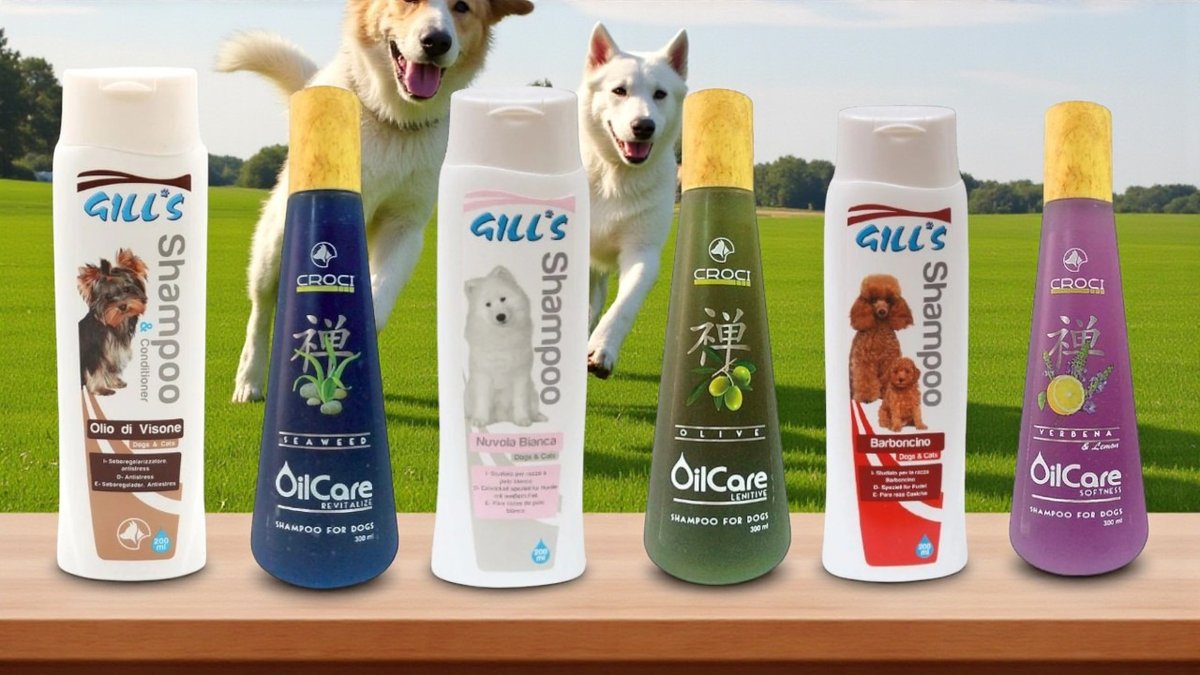 Croci Pet Shop | Wolt | Delivery | Durrës