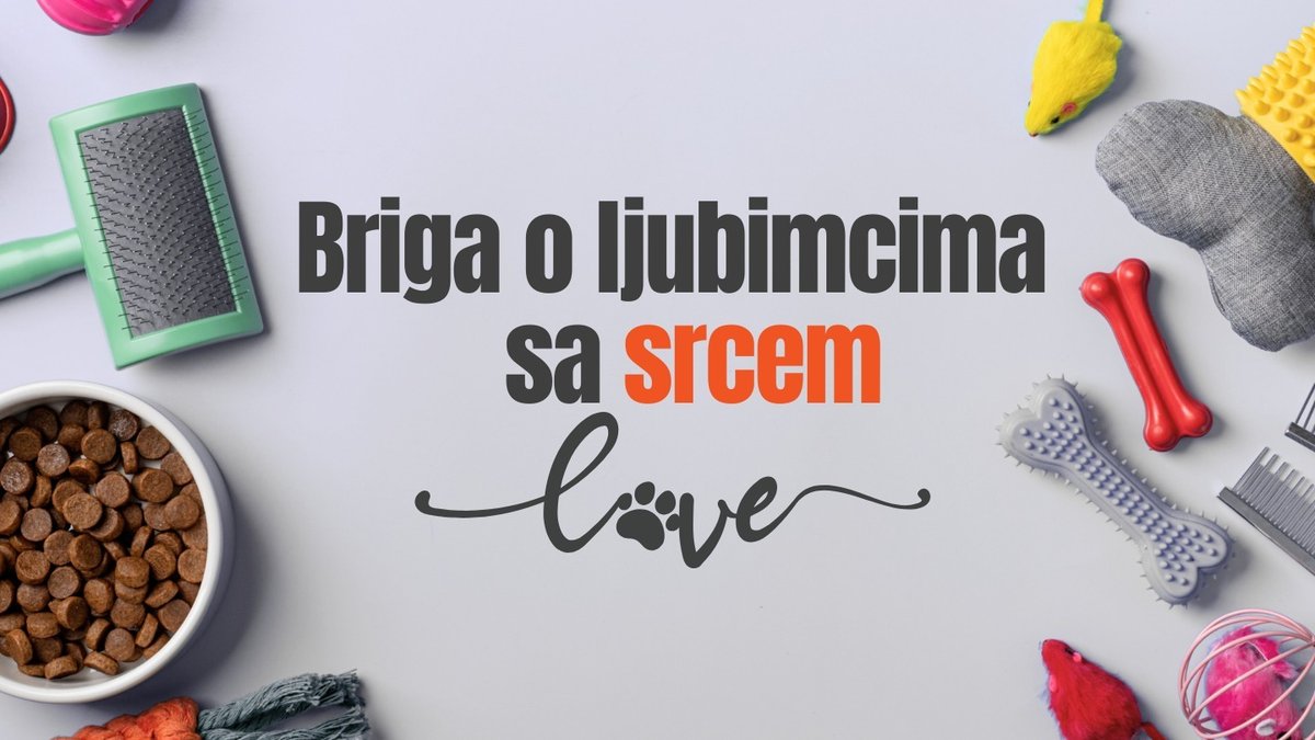 Gizmo Snack Treat fileti sa konjskim mesom poslastica za psa 1 kom 🐴🍖 ...