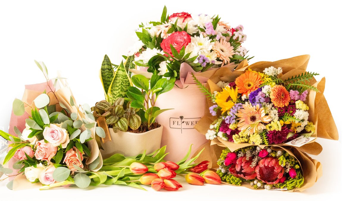 PLANTS | Tacora Garden Flower Shop | Wolt