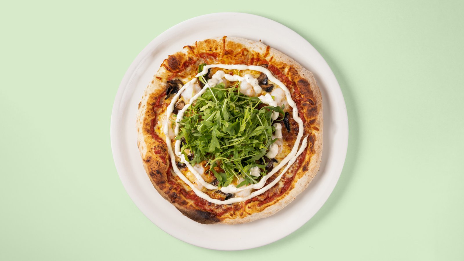 XO | Wolt | Delivery | Reykjavik