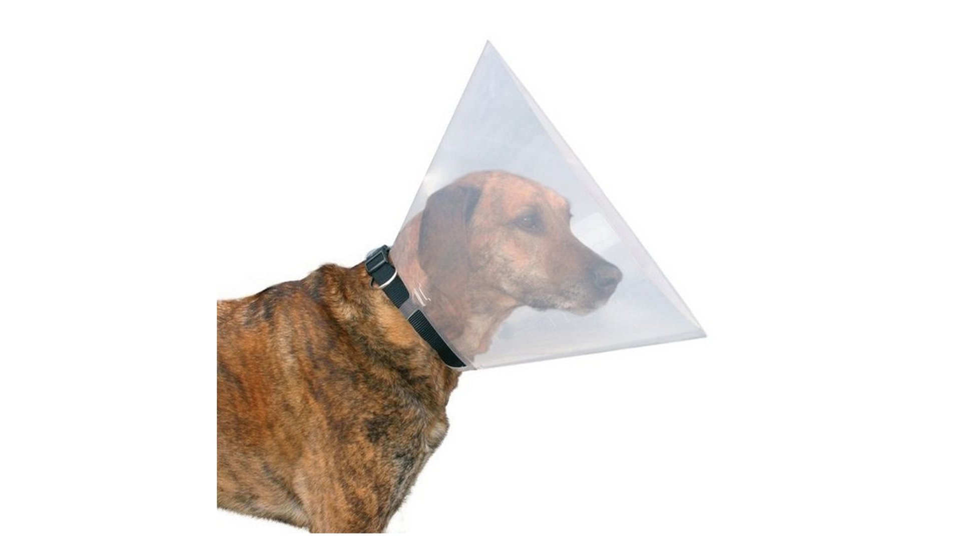 Trixie Védőgallér Xs 22–25cm/7cm | ALPHAZOO Mosonmagyaróvár | Wolt