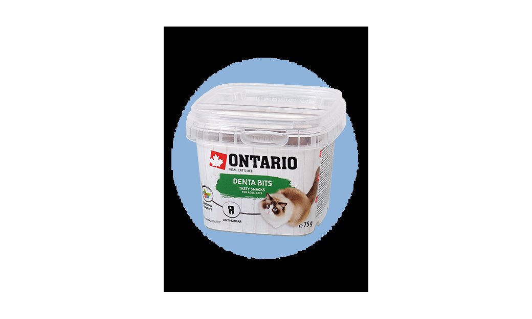 Ontario Snack Dental Bits 75 g | Super zoo Košice Trolejbusová | Wolt