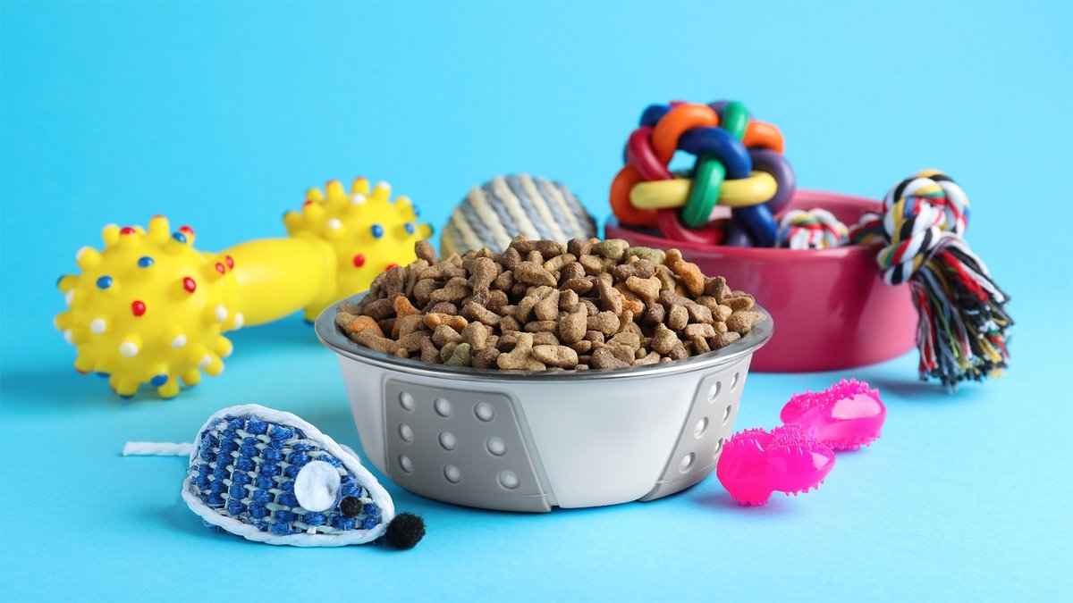 מכרסמים וחיות קטנות | זו ארץ זו | רמת השרון | Wolt